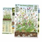 Free Posters to Print or in the Mail | WOW Freebies