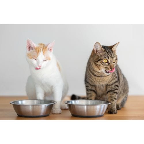 Free Food Parcels Delivered to Your Door | WOW Freebies