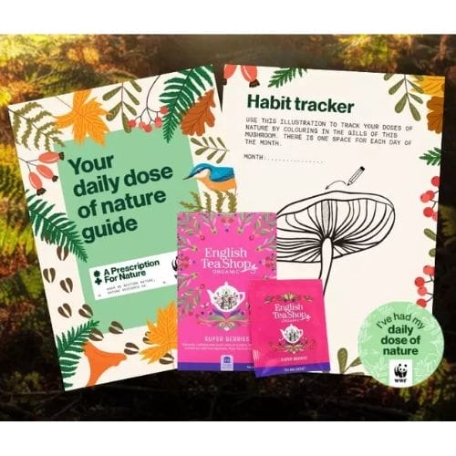 Free Wellbeing Activity Packs | WOW Freebies